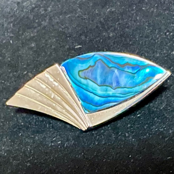 Jewelry | Vintage Abstract Abalone Pinbrooch Insignia On The Back ...